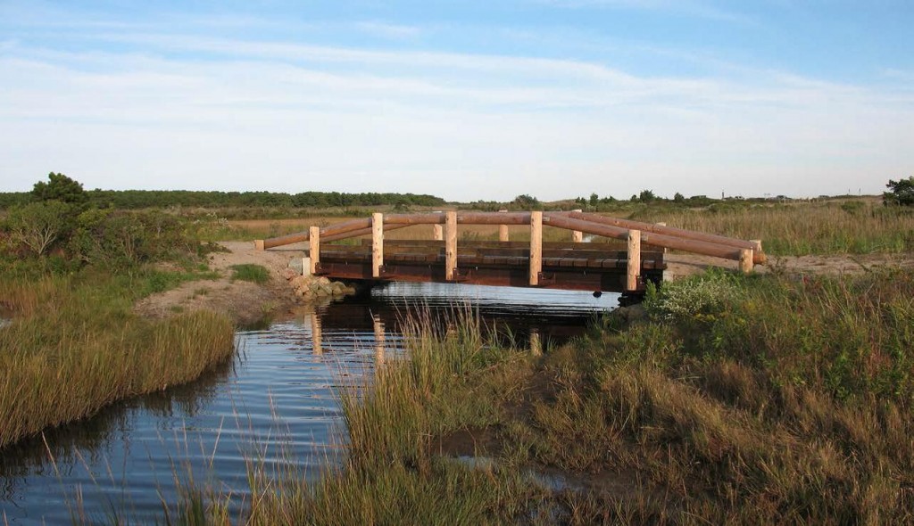 SER Mid-Atlantic Chapter – Members in NY, NJ, PA, DE, MD, DC, VA, WV