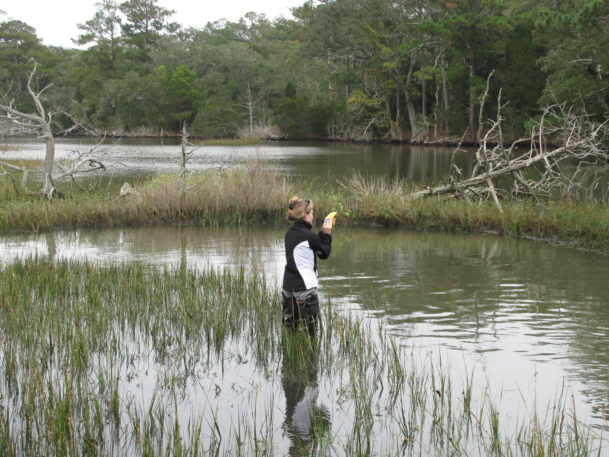 SER Mid-Atlantic Chapter – Members in NY, NJ, PA, DE, MD, DC, VA, WV