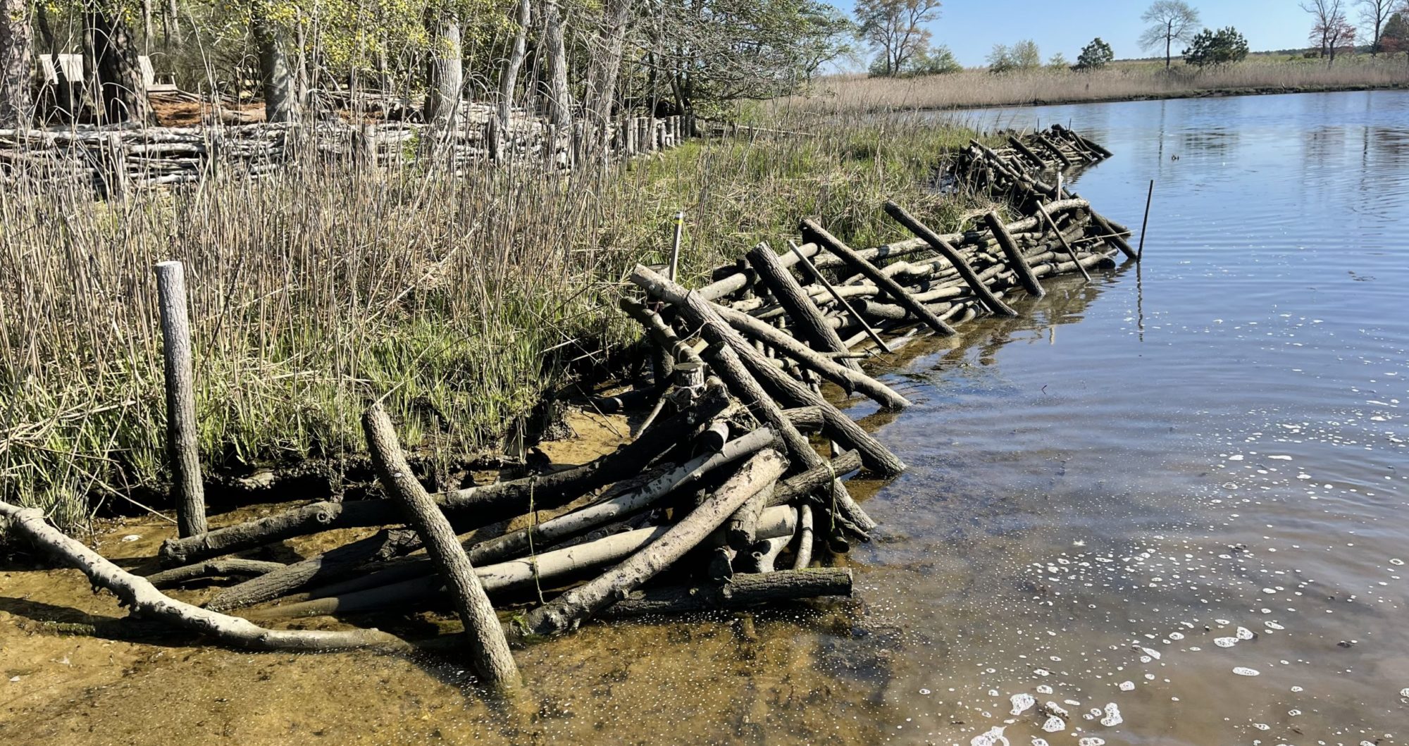 SER Mid-Atlantic Chapter – Members in NY, NJ, PA, DE, MD, DC, VA, WV