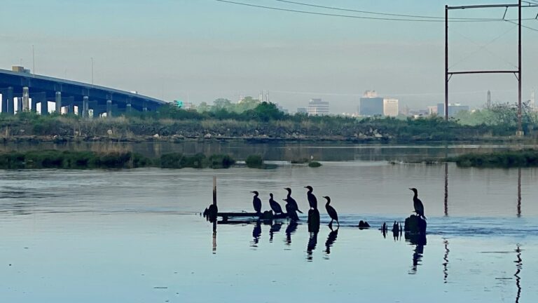 2023 Mid-Atlantic Conference – SER Mid-Atlantic Chapter