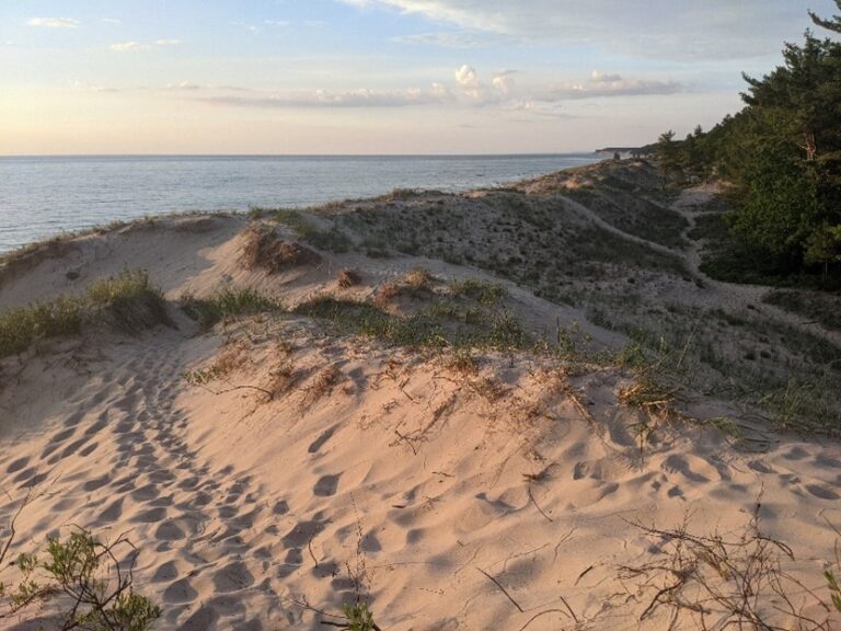 Michigan – SER Midwest-Great Lakes Chapter